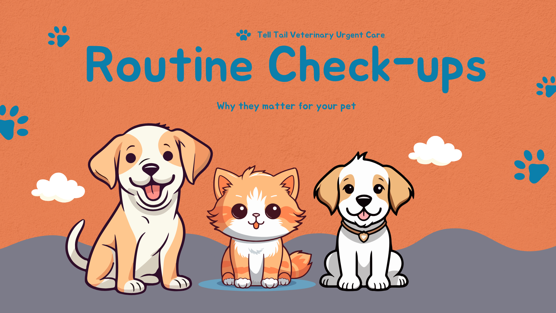 The Importance Of Regular Vet Visits: Why Routine Check-Ups Matter For ...