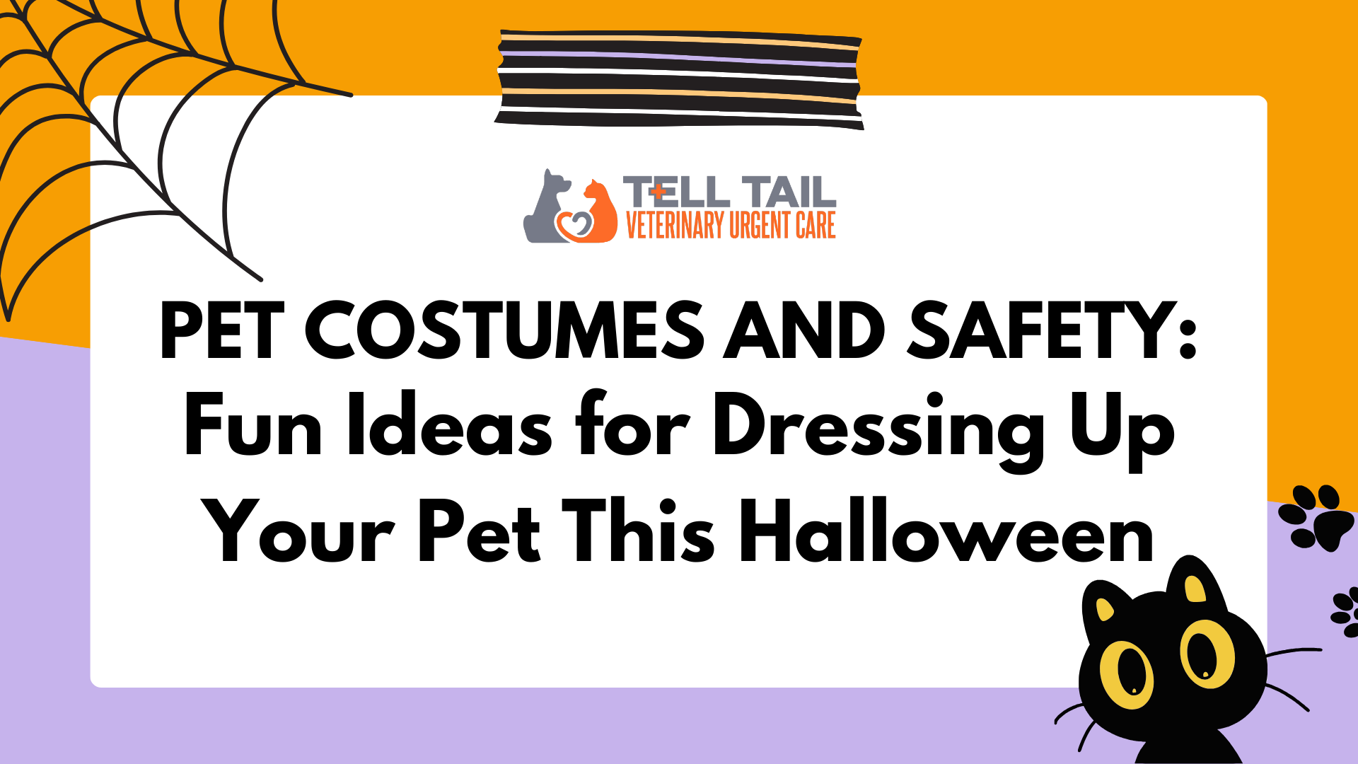 Pet Costumes And Safety: Fun Ideas For Dressing Up Your Pet This ...