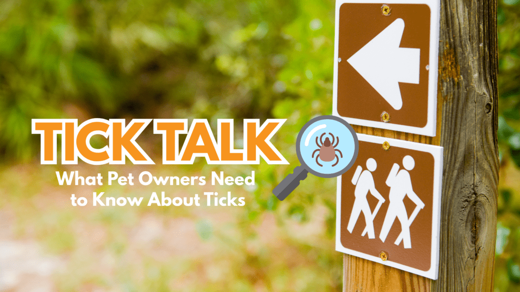 Tick Talk: What San Diego Pet Owners Need To Know About Ticks | Tell ...