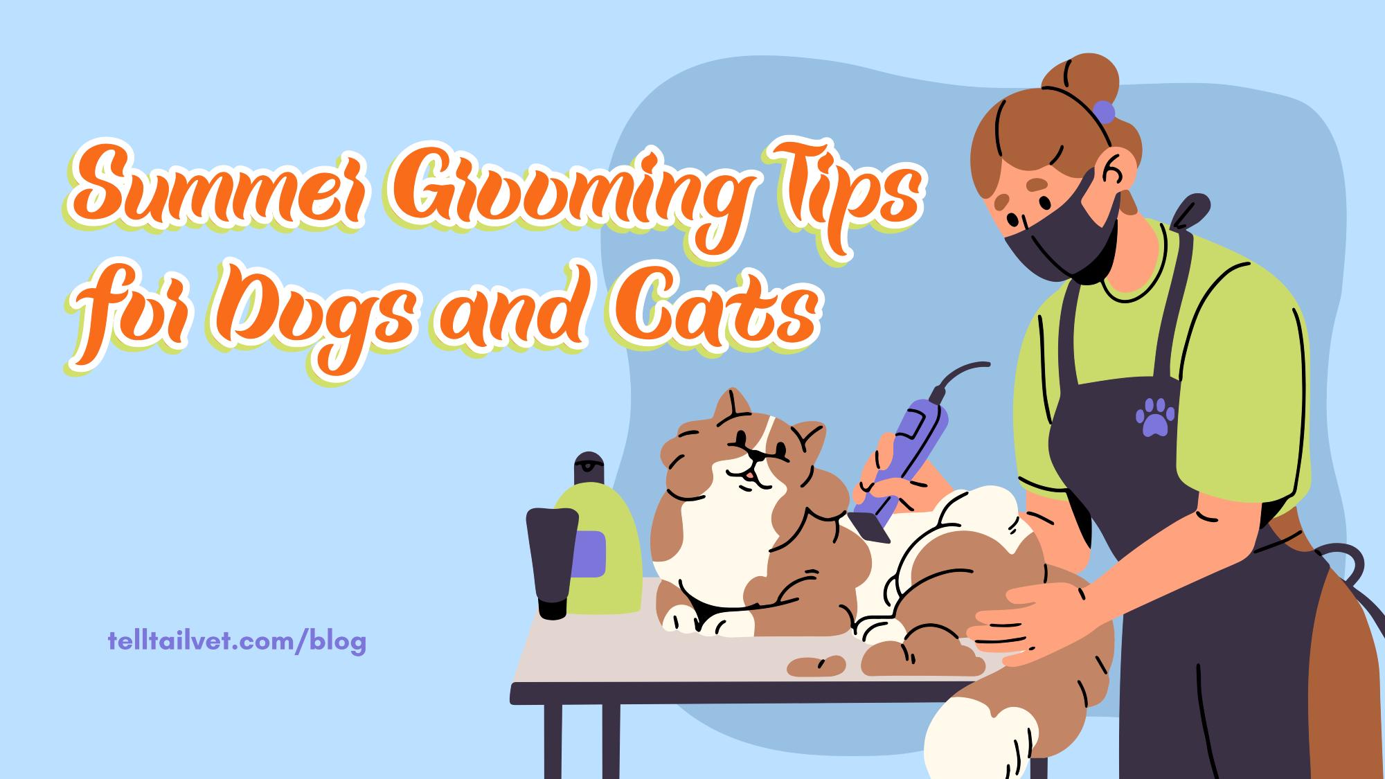 Summer Grooming Tips For Dogs And Cats | Tell Tail Veterinary Urgent Care
