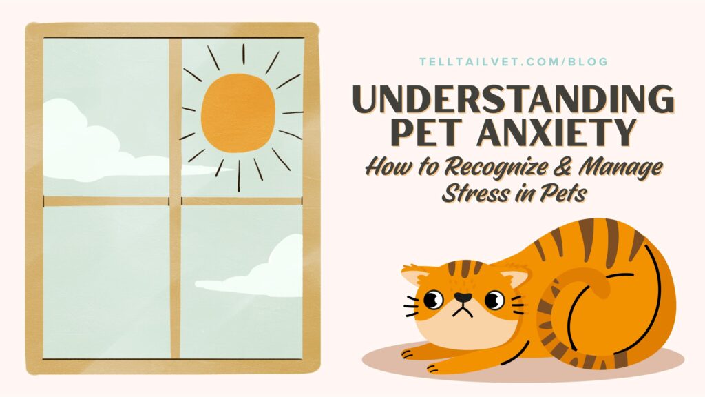 Understanding Pet Anxiety: How To Recognize And Manage Stress In Pets ...